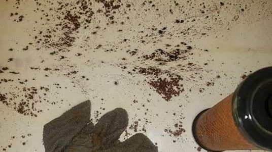 Petition · Tired of being a dollar sign - United States · Change.org