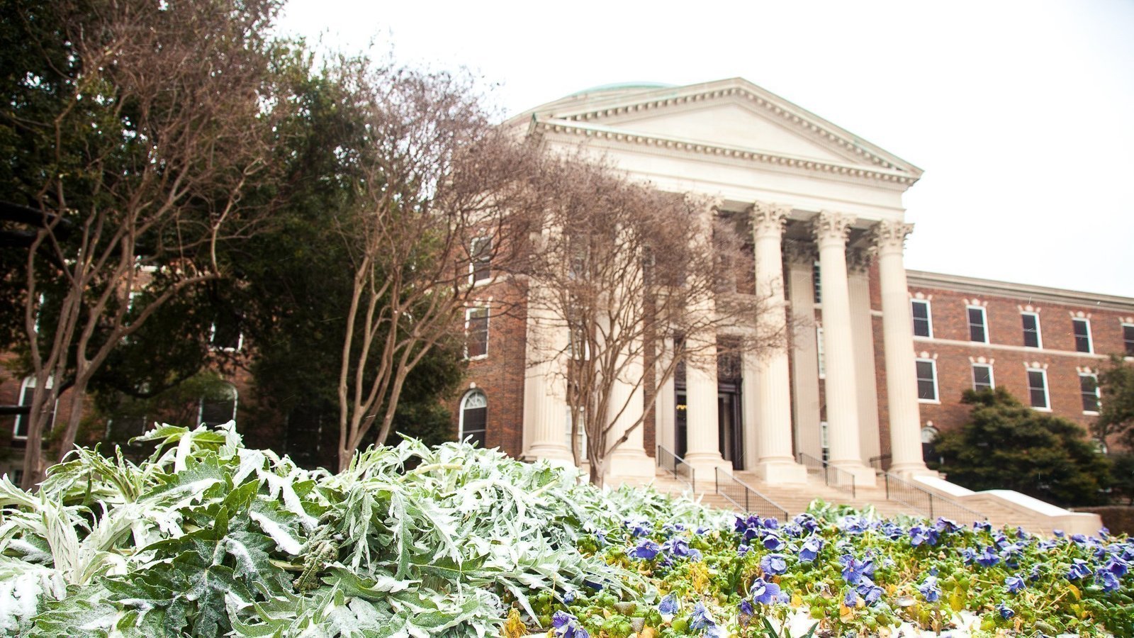 Petition · Prioritize student health and safety during the winter storm ...