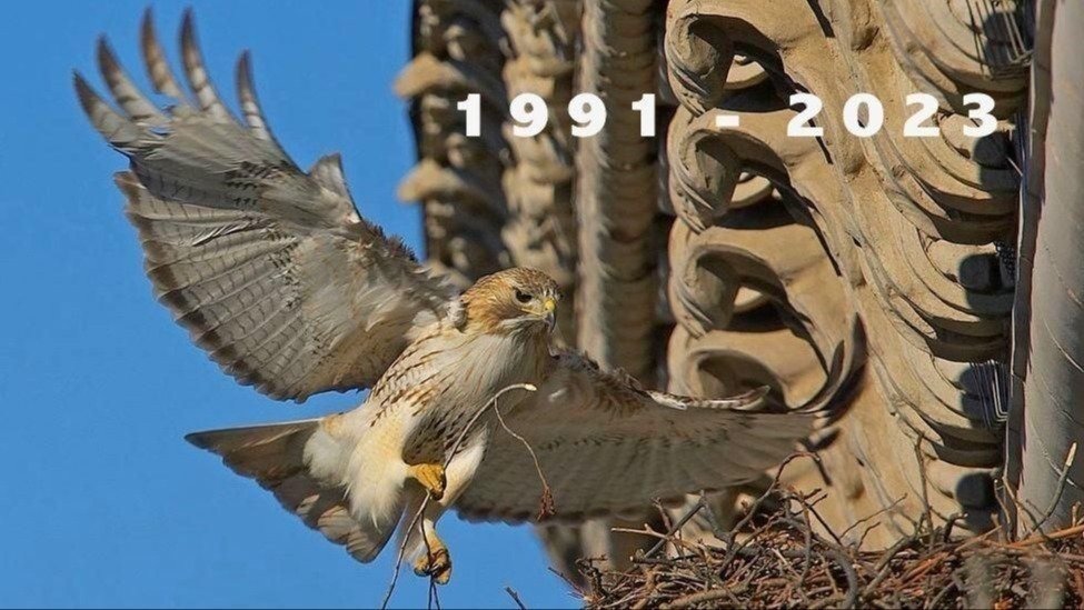 Petition · Tell the Central Park Conservancy New Yorkers want a Bronze ...