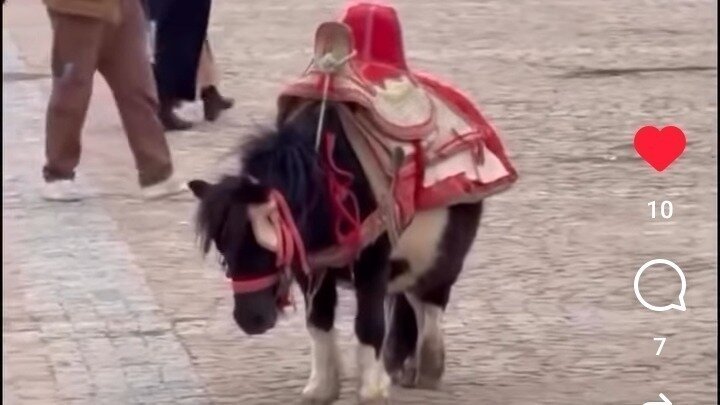 Petition update · Hey dear souls thanks for supporting already · Change ...