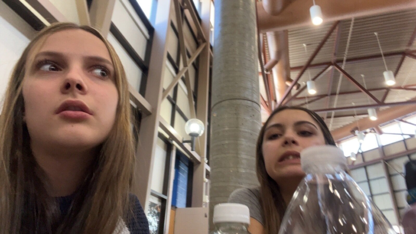 Petition · Tiktok for valli poo - United States · Change.org