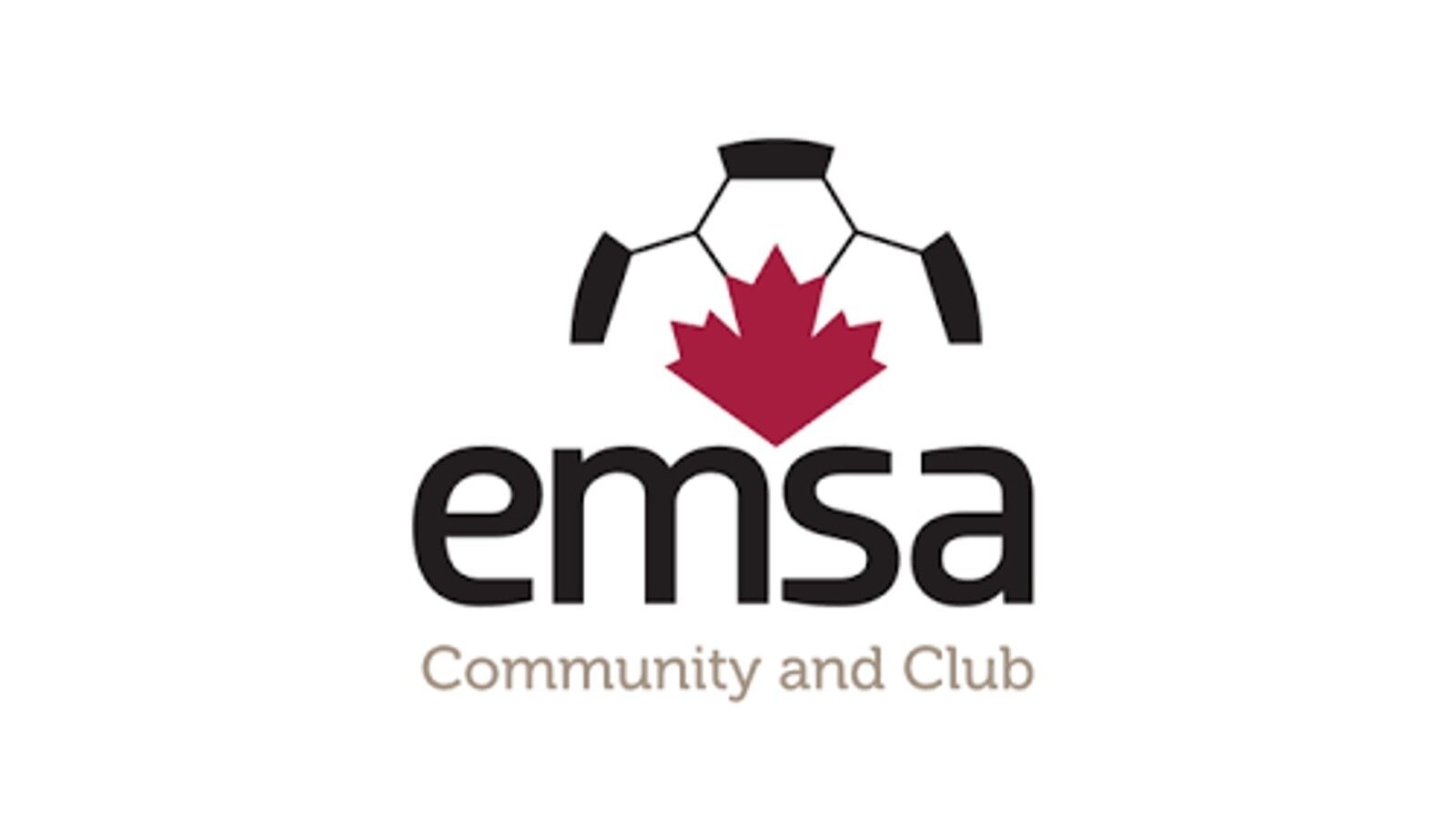 Petition · Demand EMSA Use Standard Fields for 2025 Outdoor U11 City ...