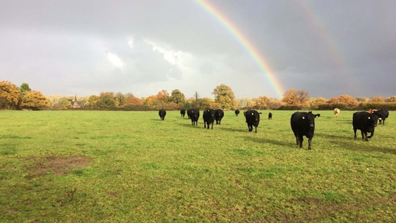 Petition · Protect Finchampstead from overdevelopment and stop the ...