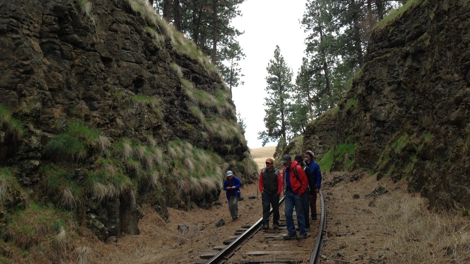 Petition · Preserve the PCC rail line between Colfax, WA and Moscow, ID ...