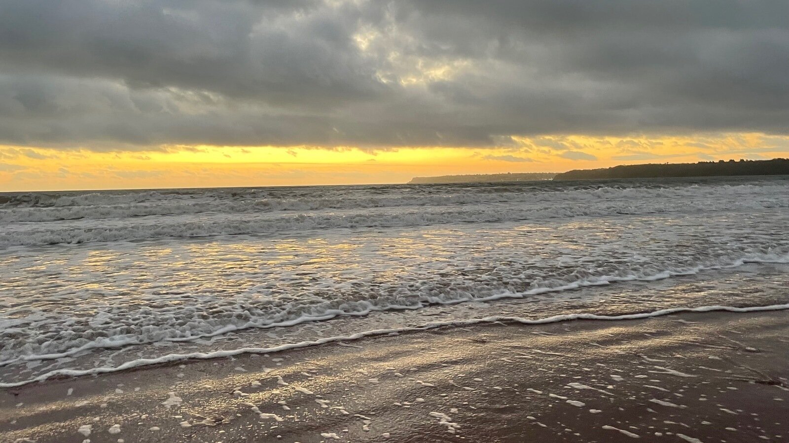 Petition · Allow Dogs on Torbay Beaches During Designated Times ...