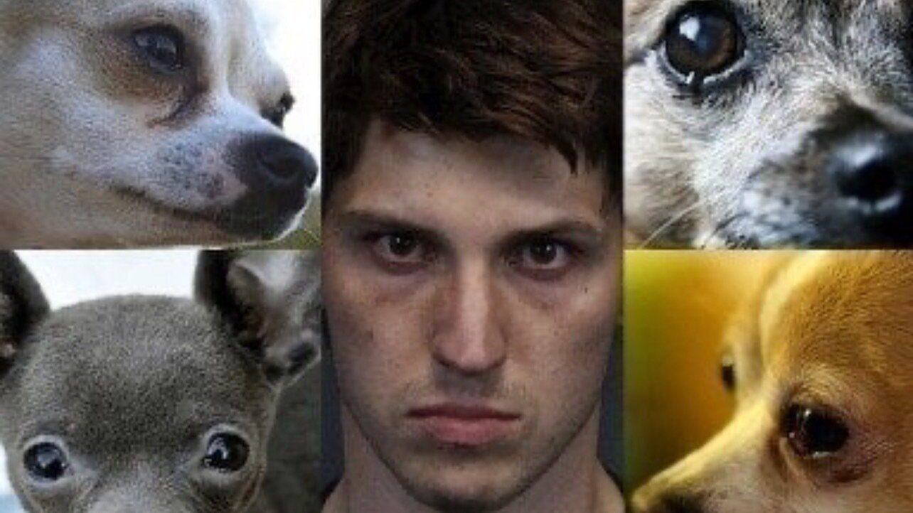 Petition · Stop the Parole of Jason Brown - United States · Change.org