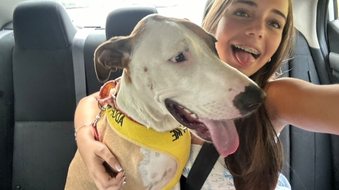Petition · get audrey a big dog - United States · Change.org