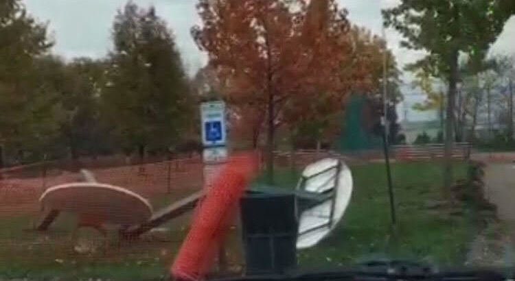 Petition · Westerville Citizens: Save Hoff Woods Park's Mini-Hoops ...