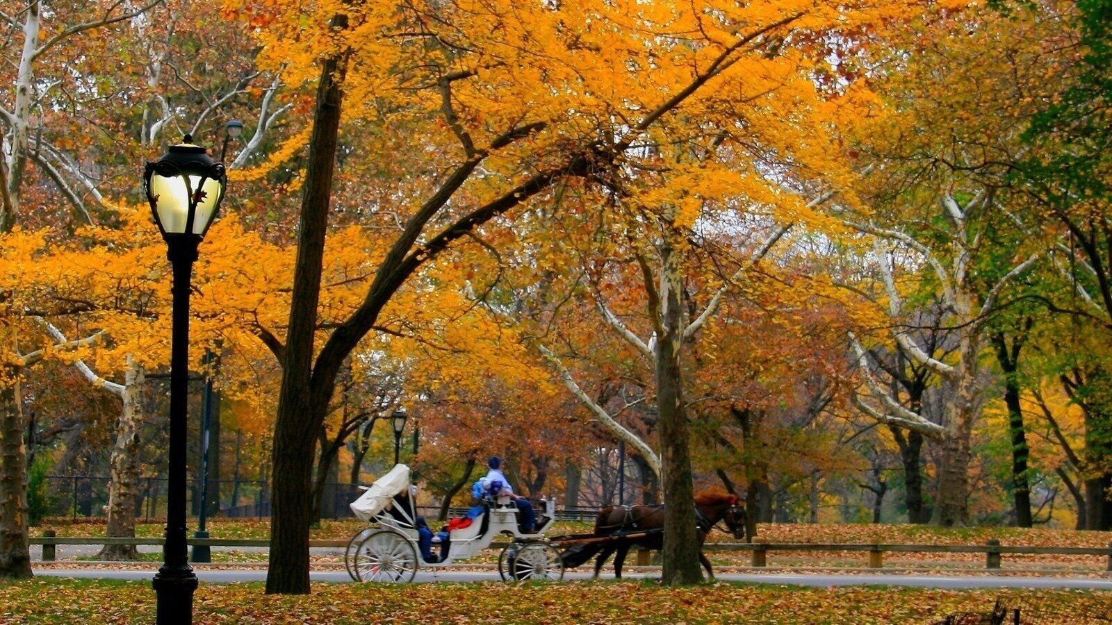 Petition · Preserve NYC Historic Horse-Drawn Carriages: Protect a ...