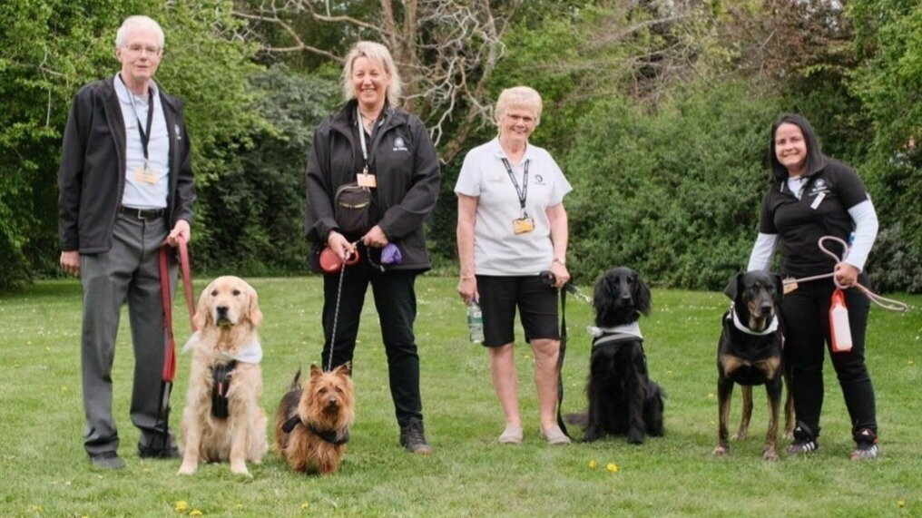 Petition · Reverse the decision made by St John to axe their Therapy ...