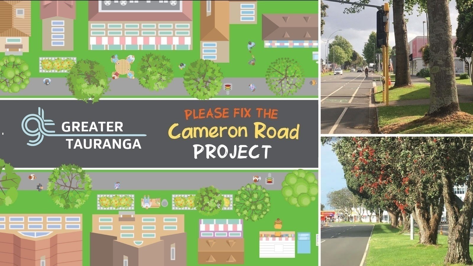 Petition · Please Fix the Cameron Road Project - New Zealand · Change.org