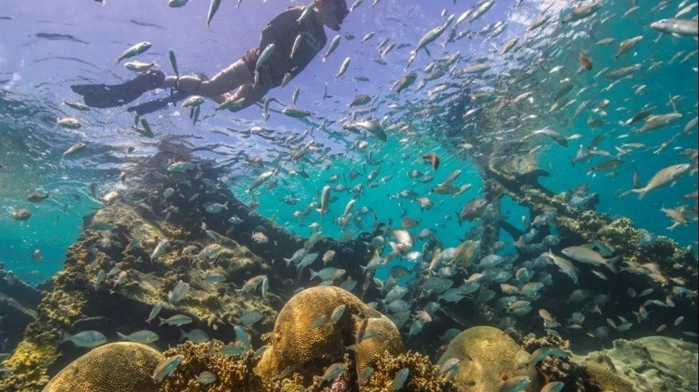 Petition · Duty Free Reef Friendly Products - Antigua and Barbuda ...