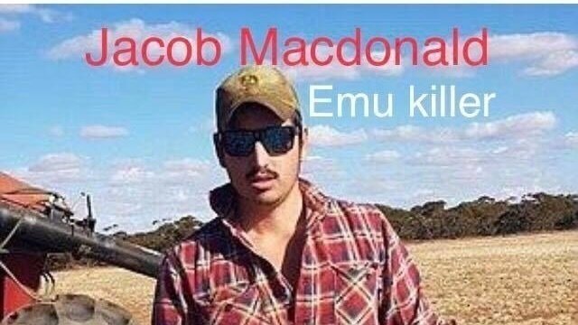 Petition · Australian Emu killer should get maximum penalty - Australia ...