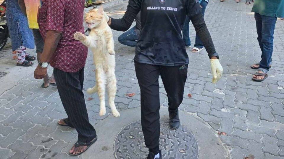 Petition · Open olhu hiyaa to NGOs and implement transparency and ...