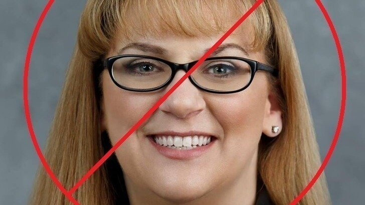 Petition · Remove Hon. Allison Nelson - Oswego, United States · Change.org