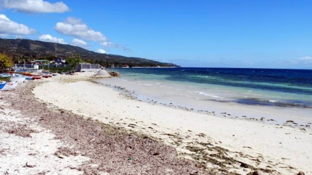 Petition · Save the last public beach of Central Oslob (Poblacion) from ...
