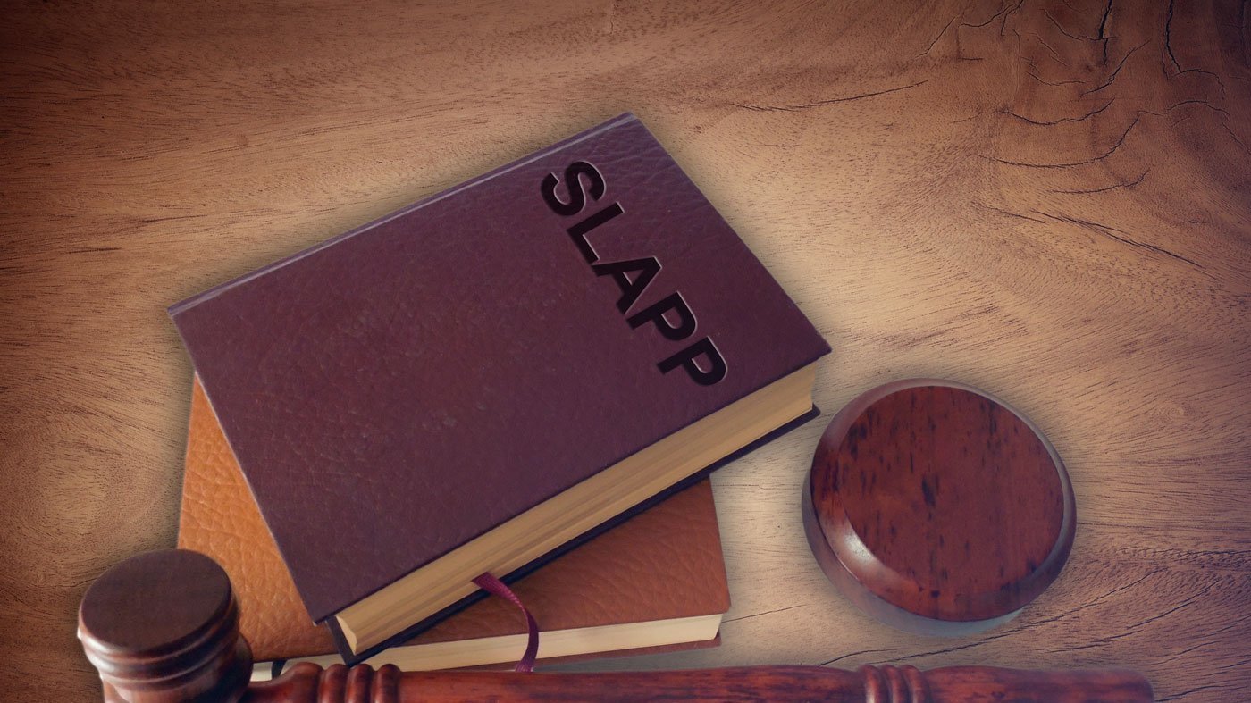 Petition · Kentucky Does NOT Protect Its Citizens Against SLAPPs and ...