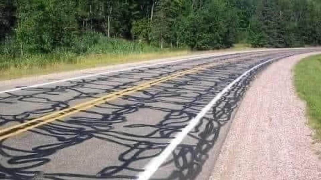 Petition · Prohibit Tar Strip Repairs on Ontario Roadways for Motorcyclists’ Safety - United ...