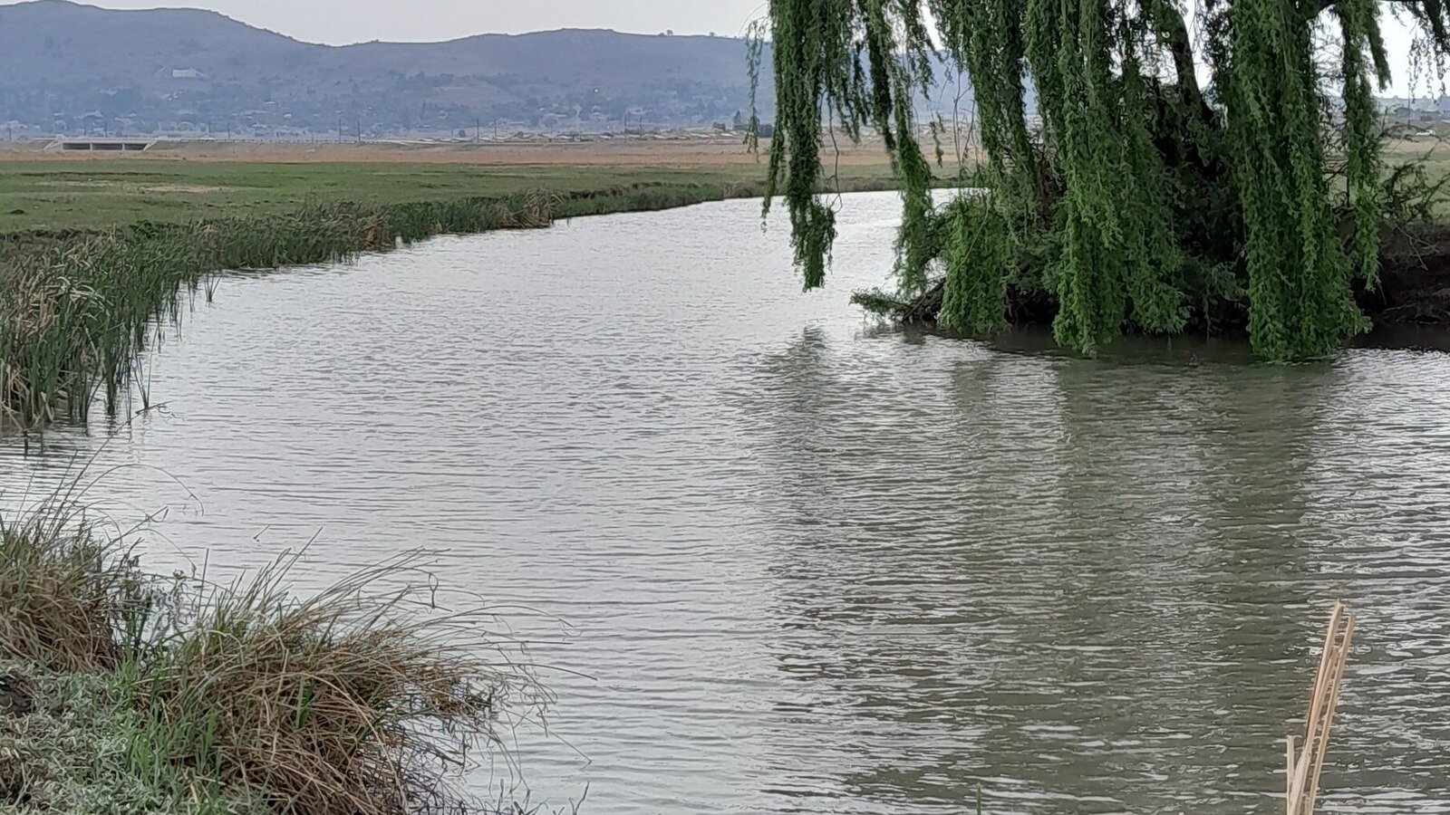 Petition · Dipaleseng wants Water - South Africa · Change.org