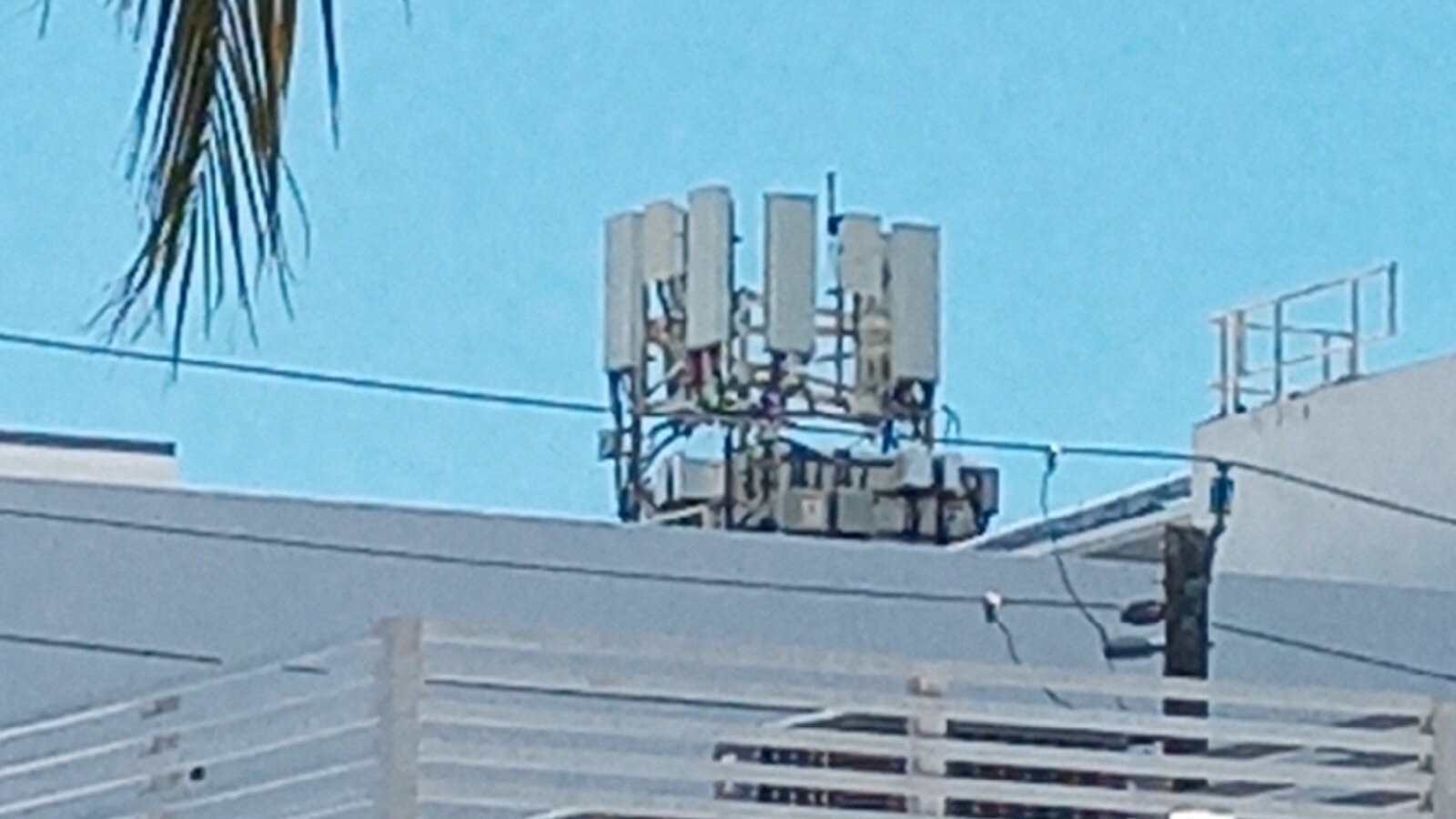 Petition · Miami Beach is a Gigantic Microwave Oven - Miami Beach ...