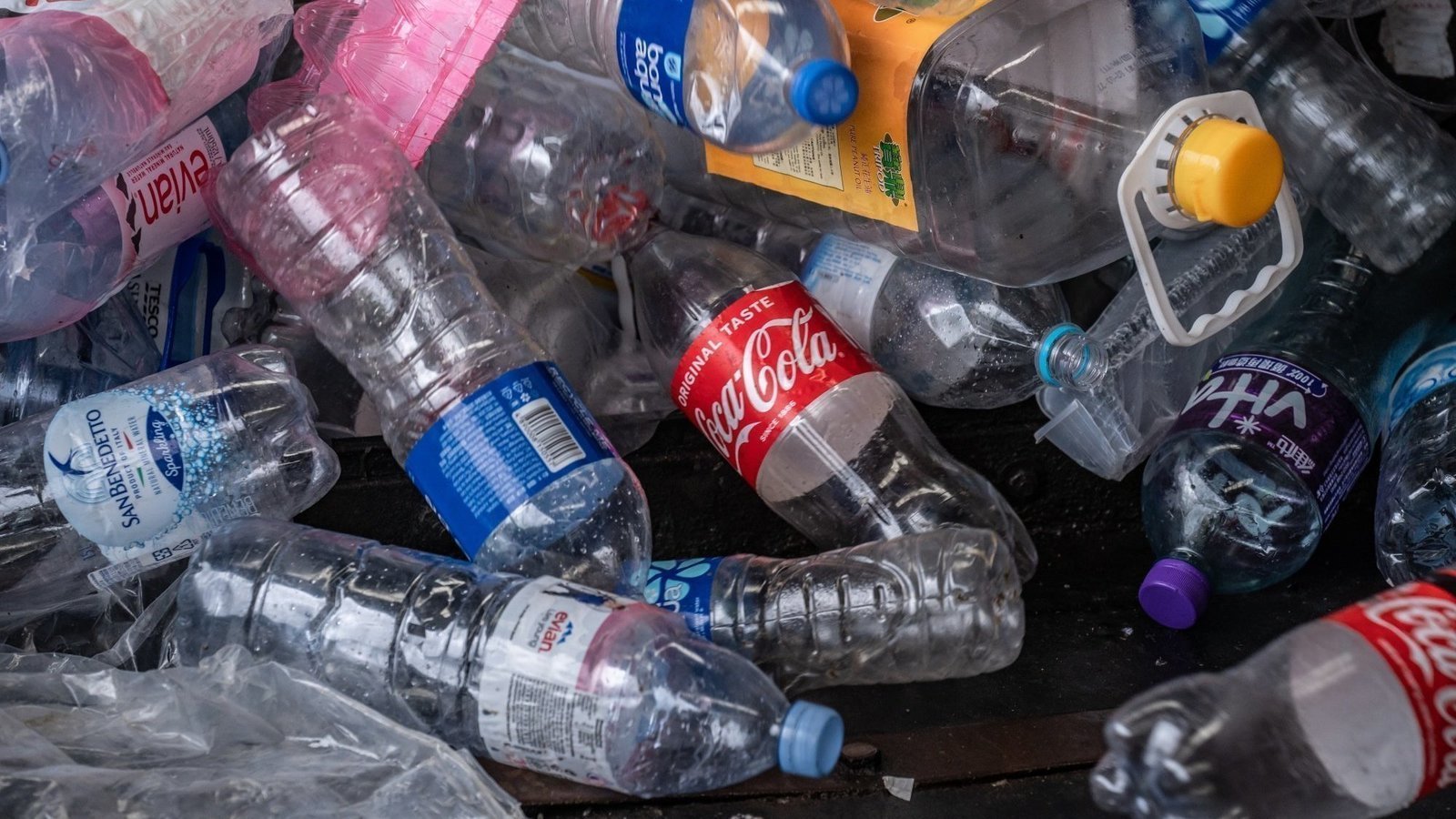 Petition · Botelya Para Sa Silya - Philippines · Change.org