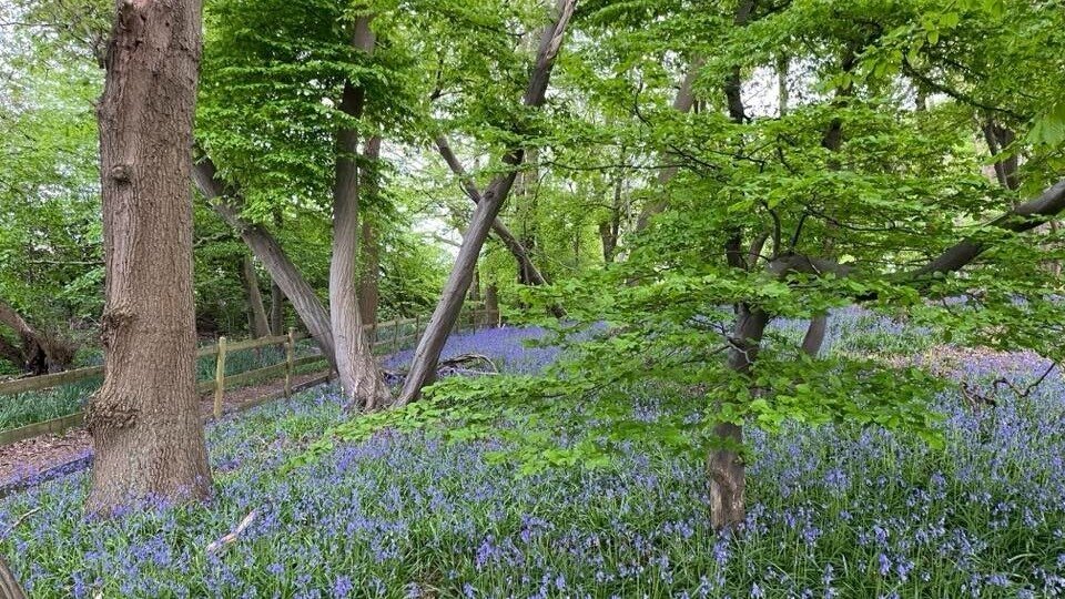 Petition · Stop Installation of Unsightly Essex & Suffolk Water Masts ...