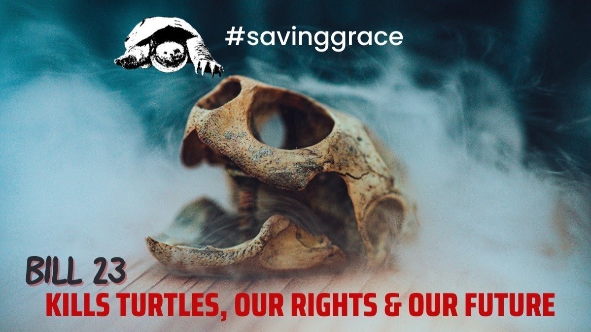 Petition · Saving Grace III - Rescind Bill 23 to Save Our Rights ...