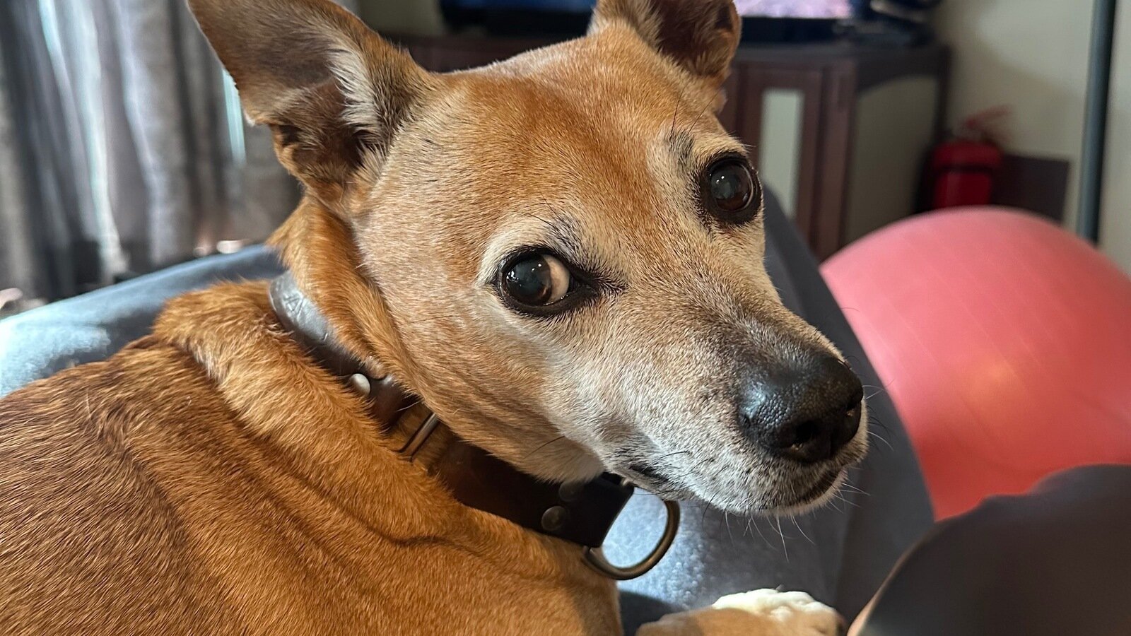 Petition · Implement More Effective Speed Control Measures on 95th and Josephine Street ...