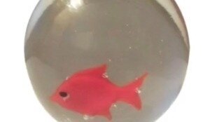 Petition · Legally classify rabies fish as a threat to national ...