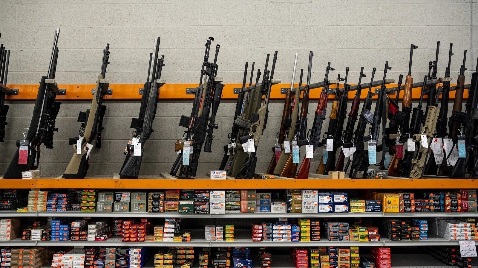 Petition · Call to Action: Guns - United States · Change.org