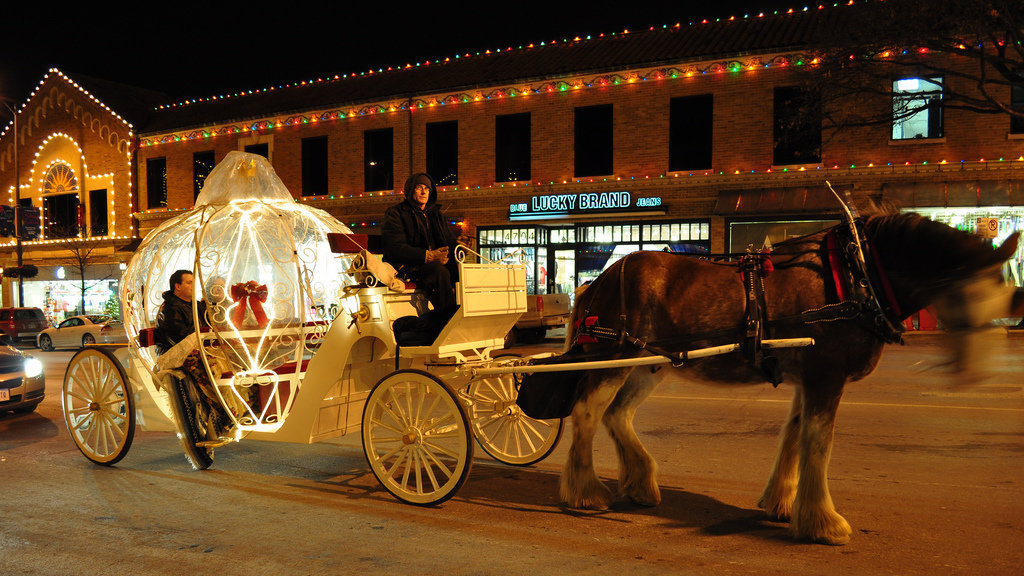 Petition · Ban Horse Drawn Carriages in Kansas City - Kansas City ...
