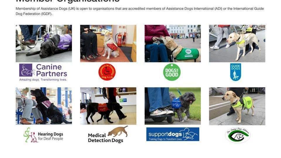 Petition · Charlie Avent Provide assistance dogs for autistic adults ...