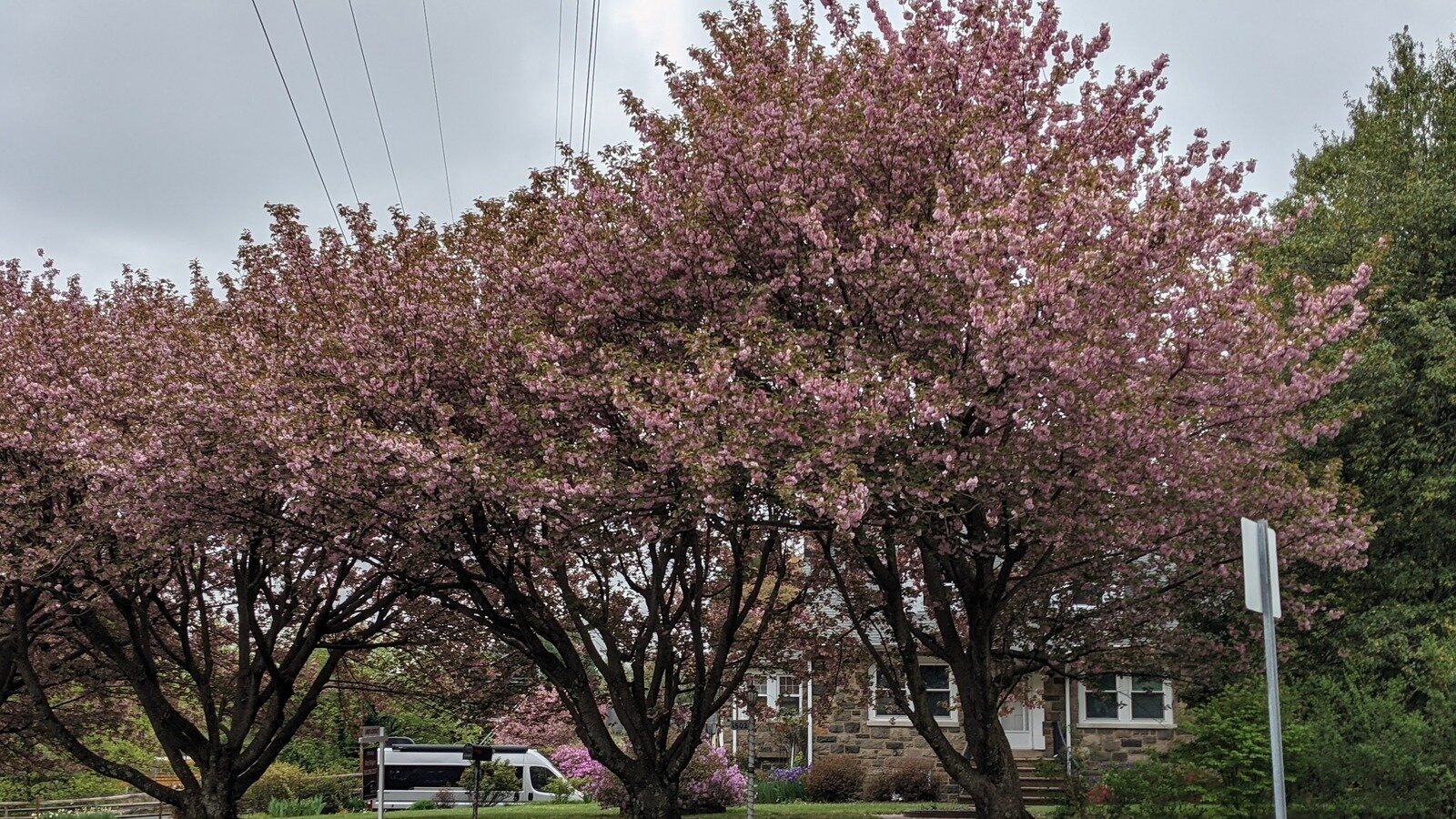 Petition · Relocate the Delmarva Powerlines/Towers/Poles in the ...