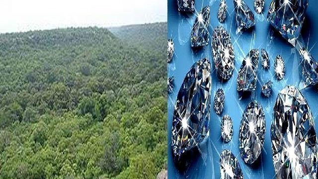 Petition · STOP cutting 2 . 15 lakh Trees, Forest will be cut in ...