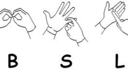 Petition · BSL to be made part of the school curriculum - United ...
