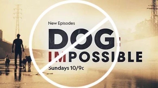 Petition · Stop Dog: Impossible on Nat Geo Wild - United States ...