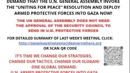 Petition · Uniting for Peace Resolution better than Article 42 needs UN ...