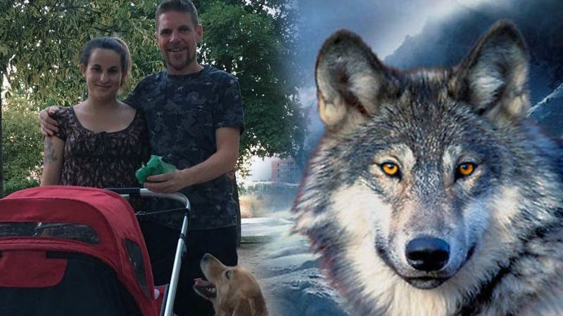 Petición · Queremos poder llamar a nuestro hijo ‘Lobo’ - España ...