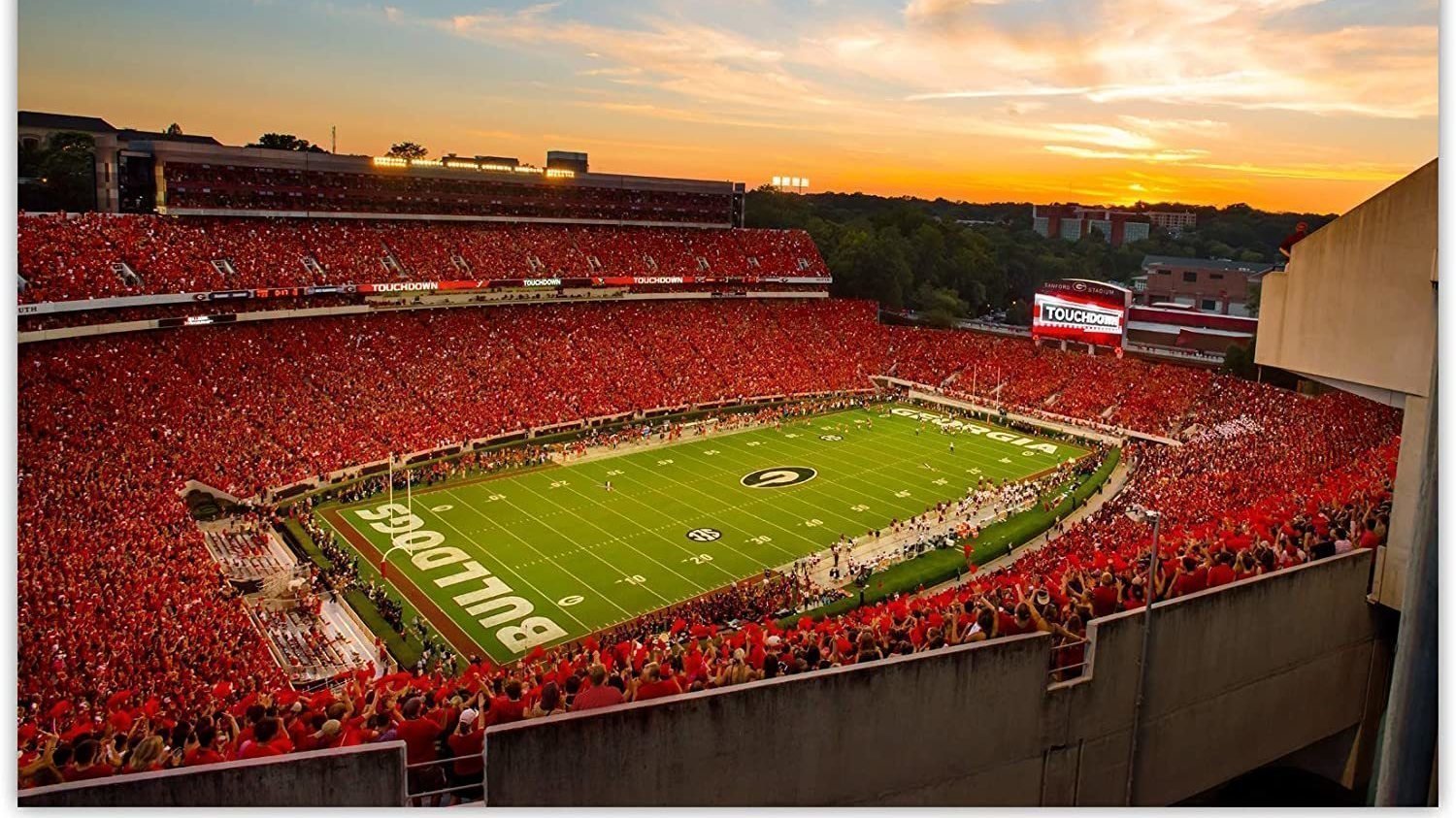 Petition · Offer an OPT-IN Pass/Fail Grading Scale to UGA Community due ...