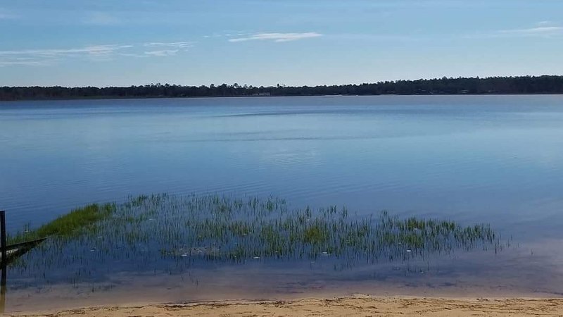Petition · Hicks Lake Vernon Florida is a park where children regularly ...