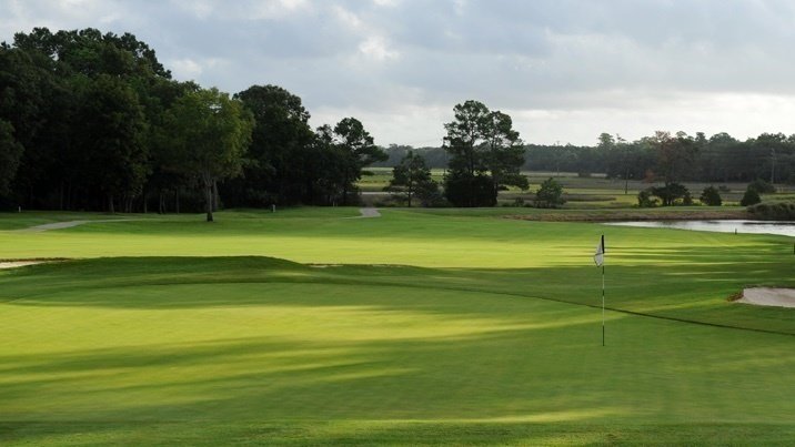 Petition · We Love Snee Farm! - Mount Pleasant, United States · Change.org