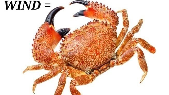 Petition · Have Wind make a character that is a crab - United States ...