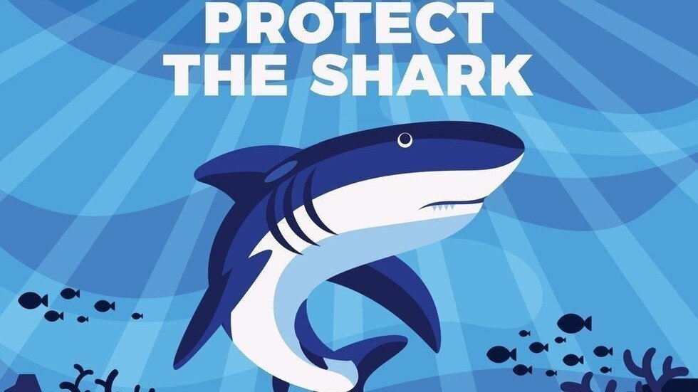 Petition · Increase protection of Sharks - India · Change.org