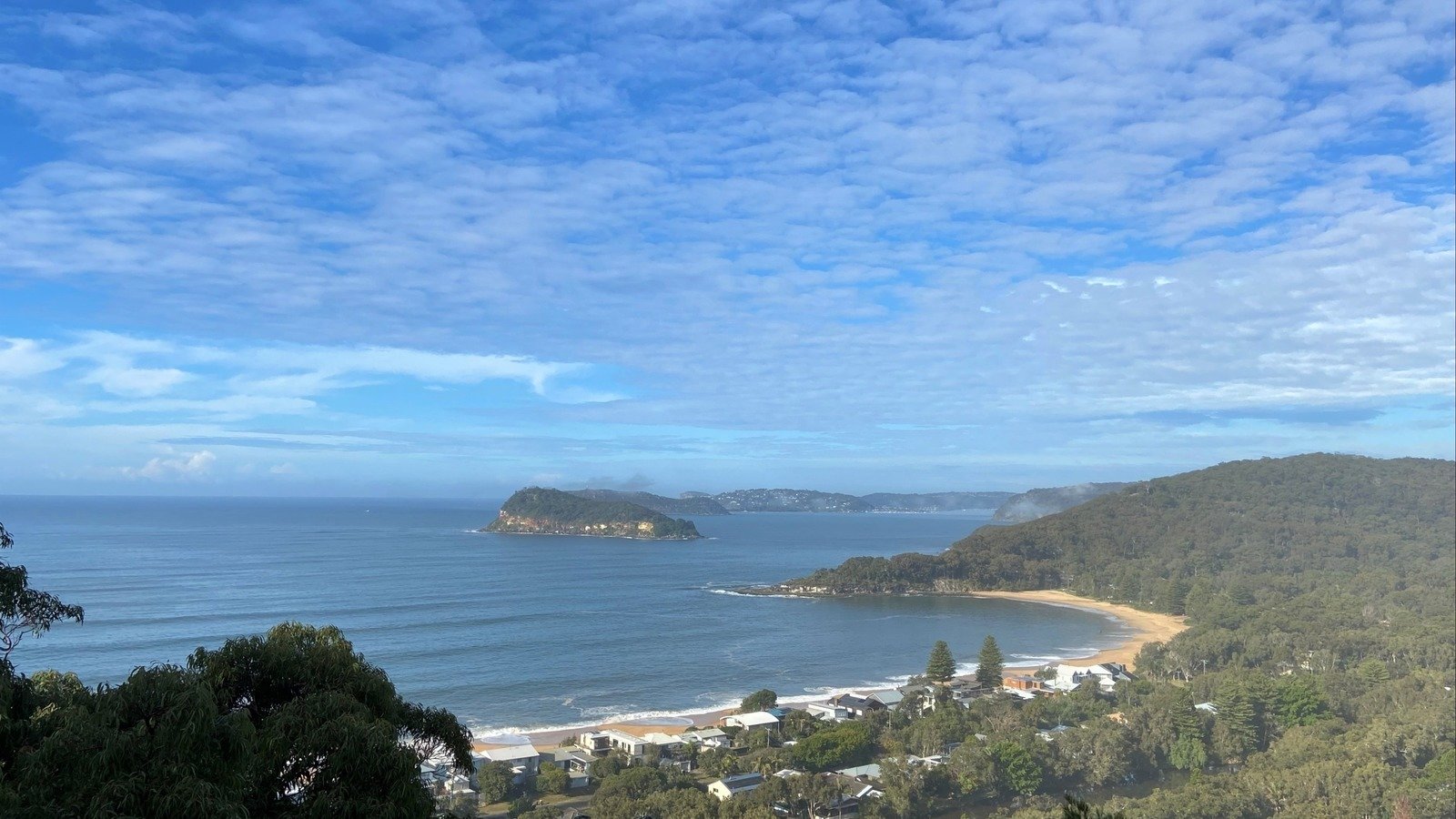 Petition · Calling on the NSW Government to Review the Exempt ...