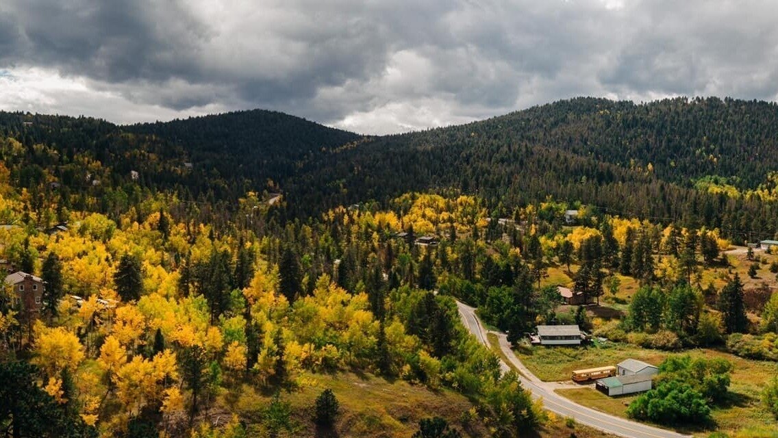 Petition · Preserve the Residential Integrity of Hilldale Pines ...