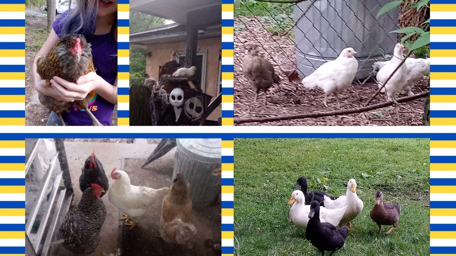 Petition · Change the definition of a "farm" in Jefferson Hills Borough ...