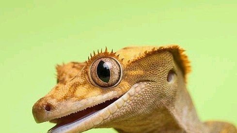 Petition · Have @exposing_kuzon__ deleted from Instagram for spreading ...