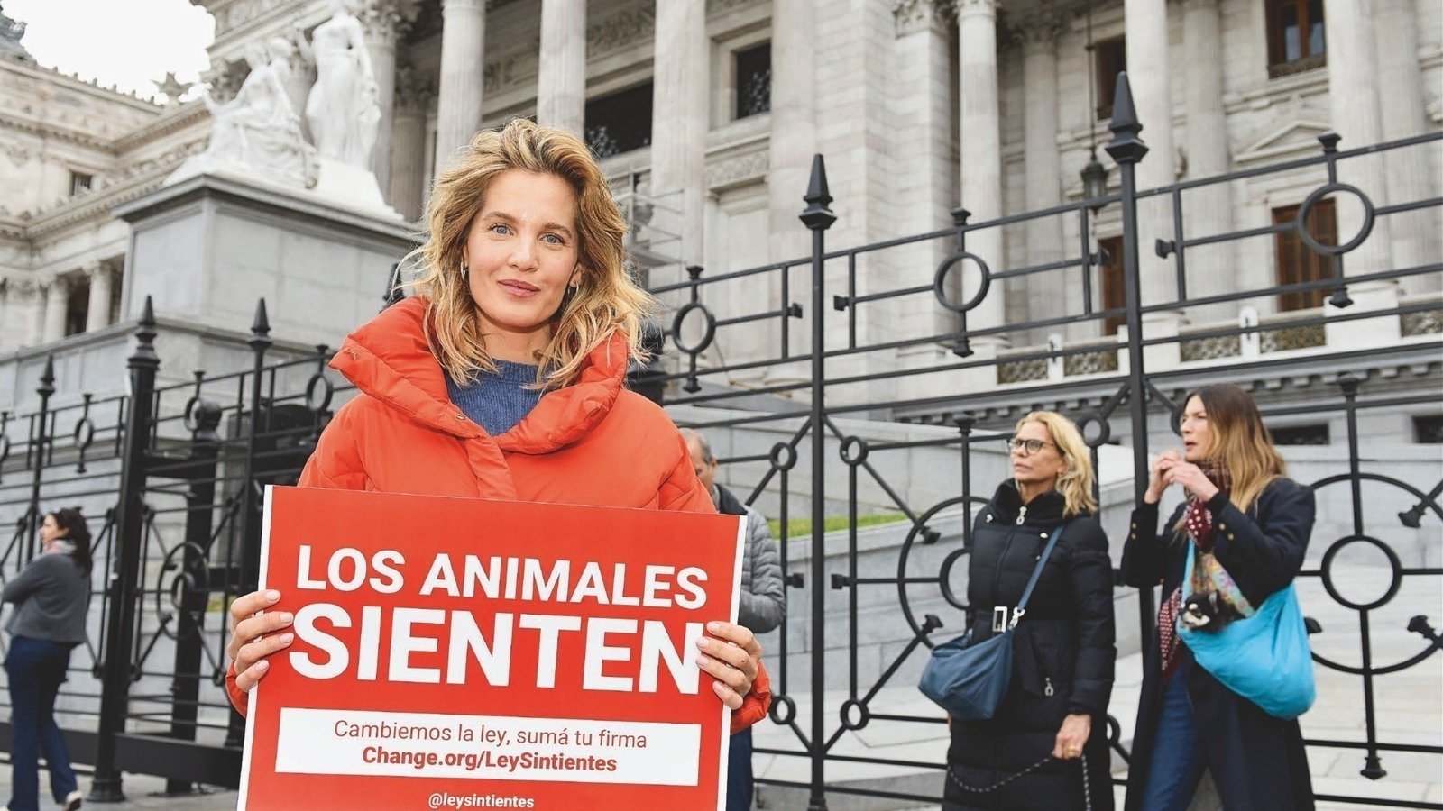 Petition update · ¡Ley Sintientes fue introducido en el Congreso de la ...