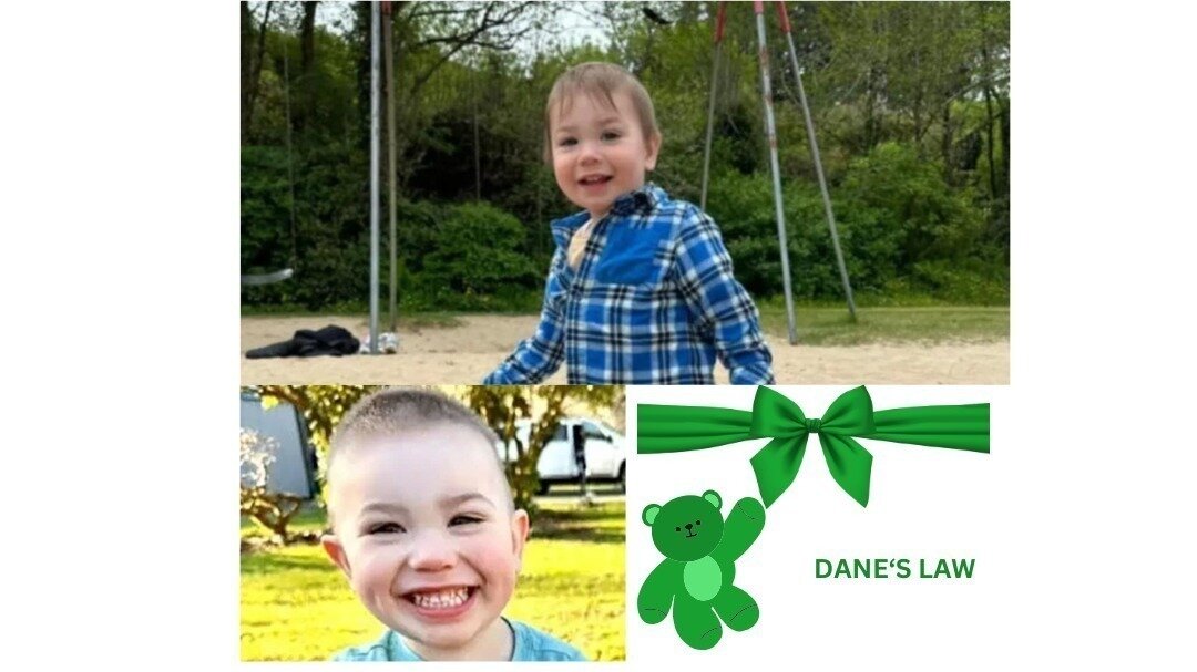 Petition · Establish Dane's Law for Mandatory Negligence Homicide ...