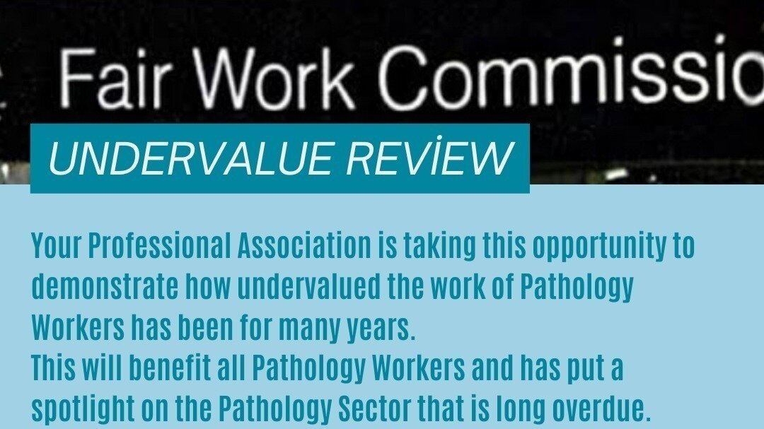 Petition update · PCA have been making a case for the undervalued ...